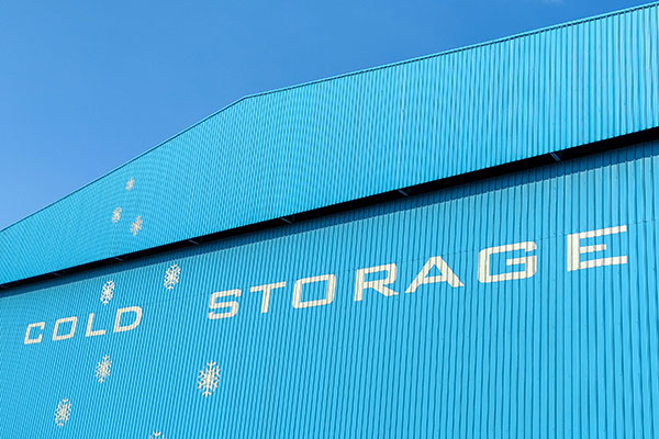 Cold Storage Warehouse Solutions for 2026: Racking, Automation & High ...
